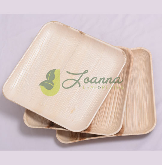 Joanna Leaf Plates Dindigul