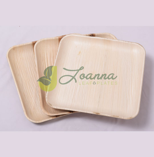 Joanna Leaf Plates Dindigul